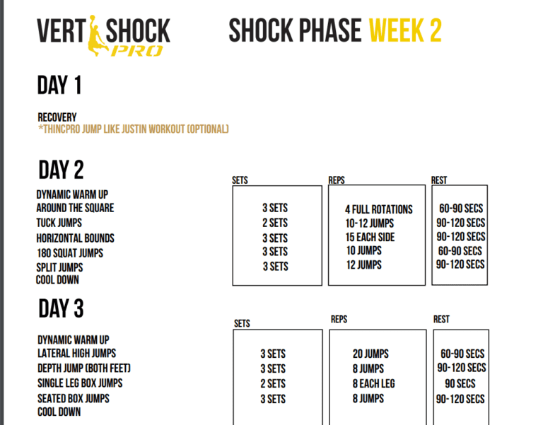 9 Best Vertical Jump Programs Reviewed [September 2023]